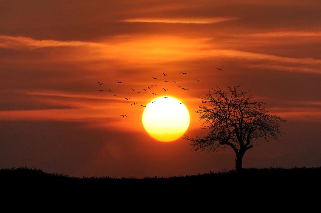 What Time Does Sunset Yoors